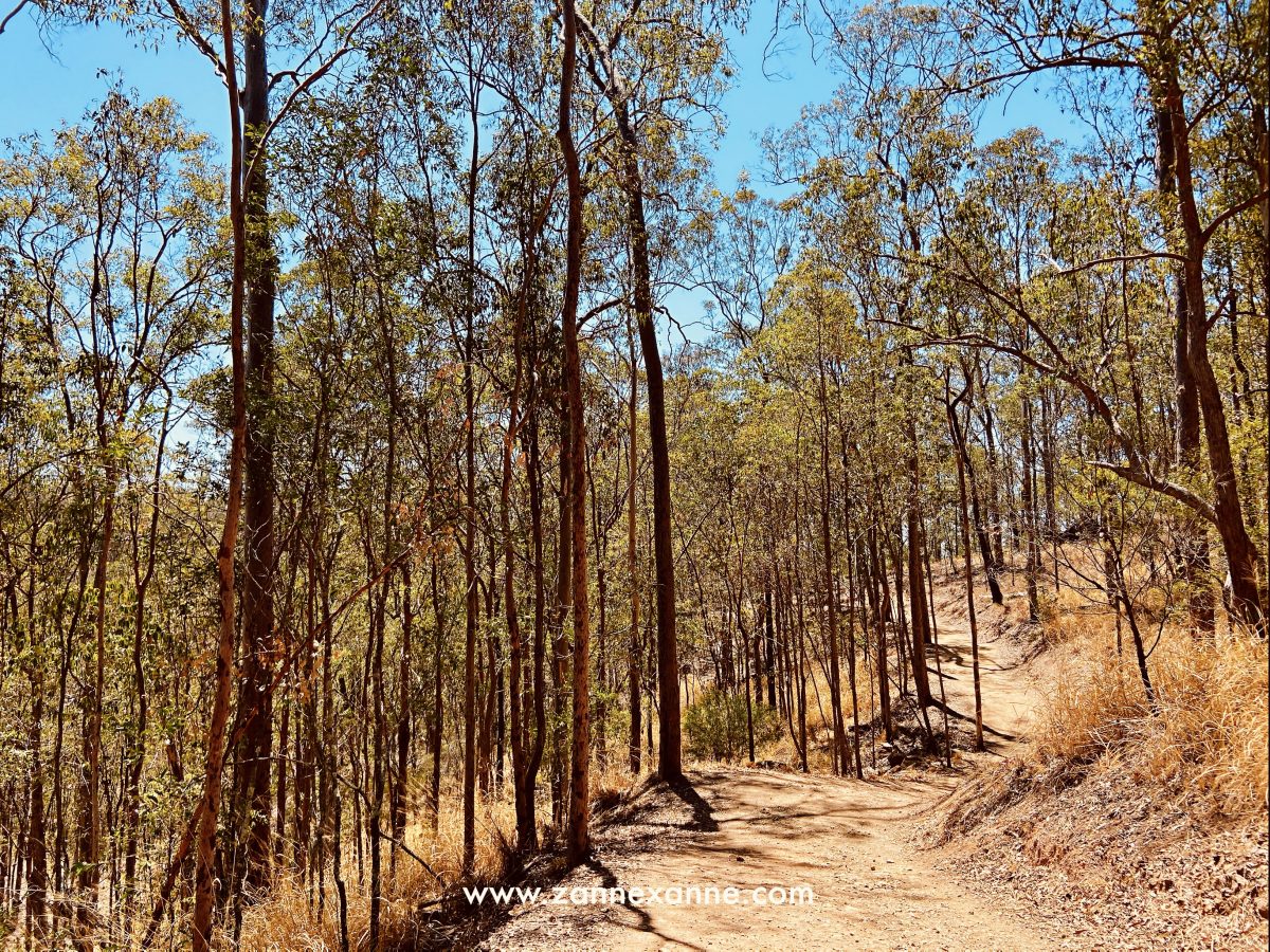 Mount Coot-Tha Ultimate Travel Guide by Zanne Xanne – Zanne Xanne