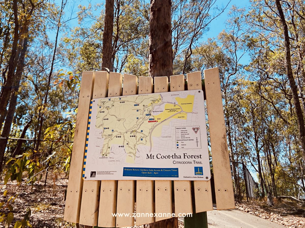 Mount Coot-Tha Ultimate Travel Guide by Zanne Xanne – Zanne Xanne